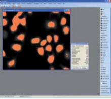 高性能成像及分析软件visiVIEW-适配所有显微镜