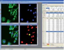 高性能成像及分析软件visiVIEW-适配所有显微镜