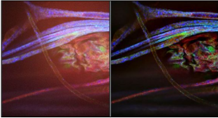 高性能成像及分析软件visiVIEW-适配所有显微镜