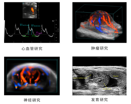 小动物超声成像系统VEVO - 精准成像，助力科研新突破