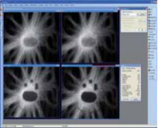 高性能成像及分析软件visiVIEW-适配所有显微镜